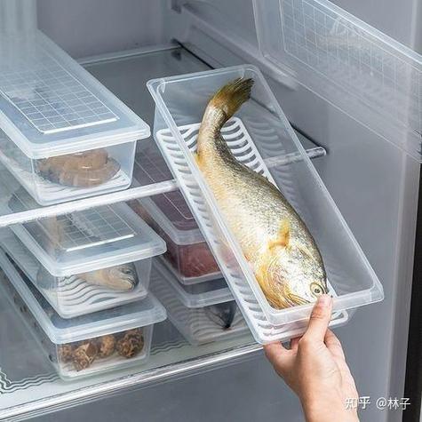 鱼怎么保鲜存放游戏截图