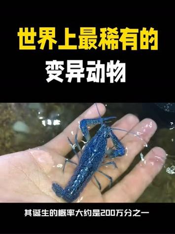 突变的生物