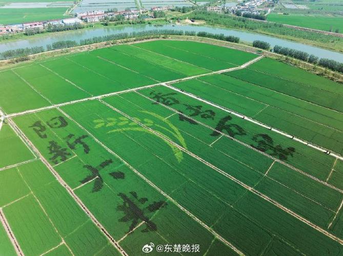 巨大化作物图标