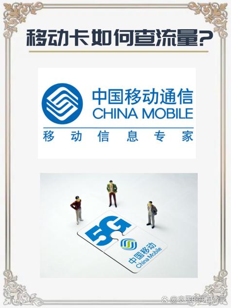 运营商app下载截图