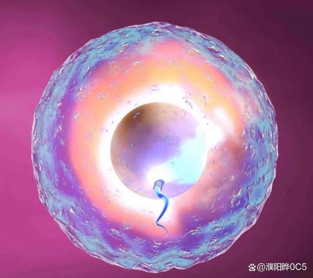 combine的名词图标