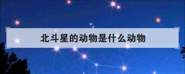 北斗星是什么生肖图标
