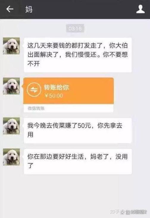 儿子赌博输了几万块怎么办图标