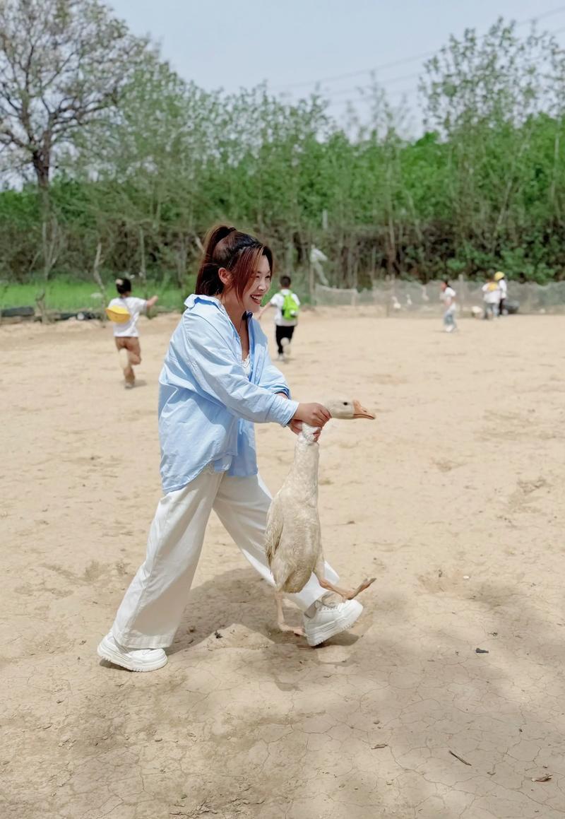玩抓大鹅的都是什么人截图