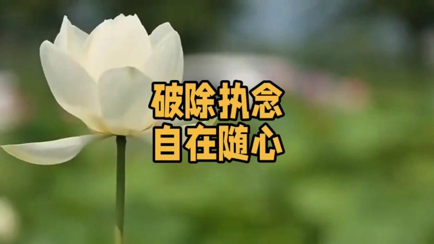 电脑桌面如何随意放置图标图标