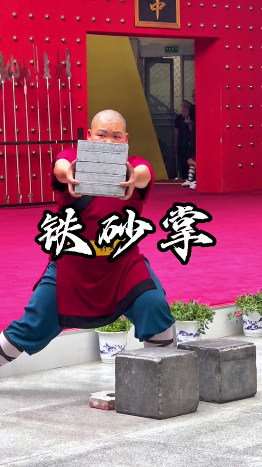 铁砂掌一天练几次图标