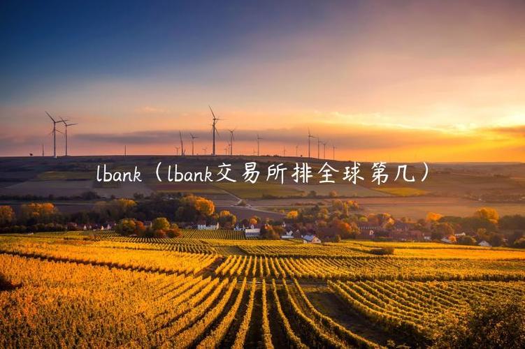 lbank交易所排全球第几图标