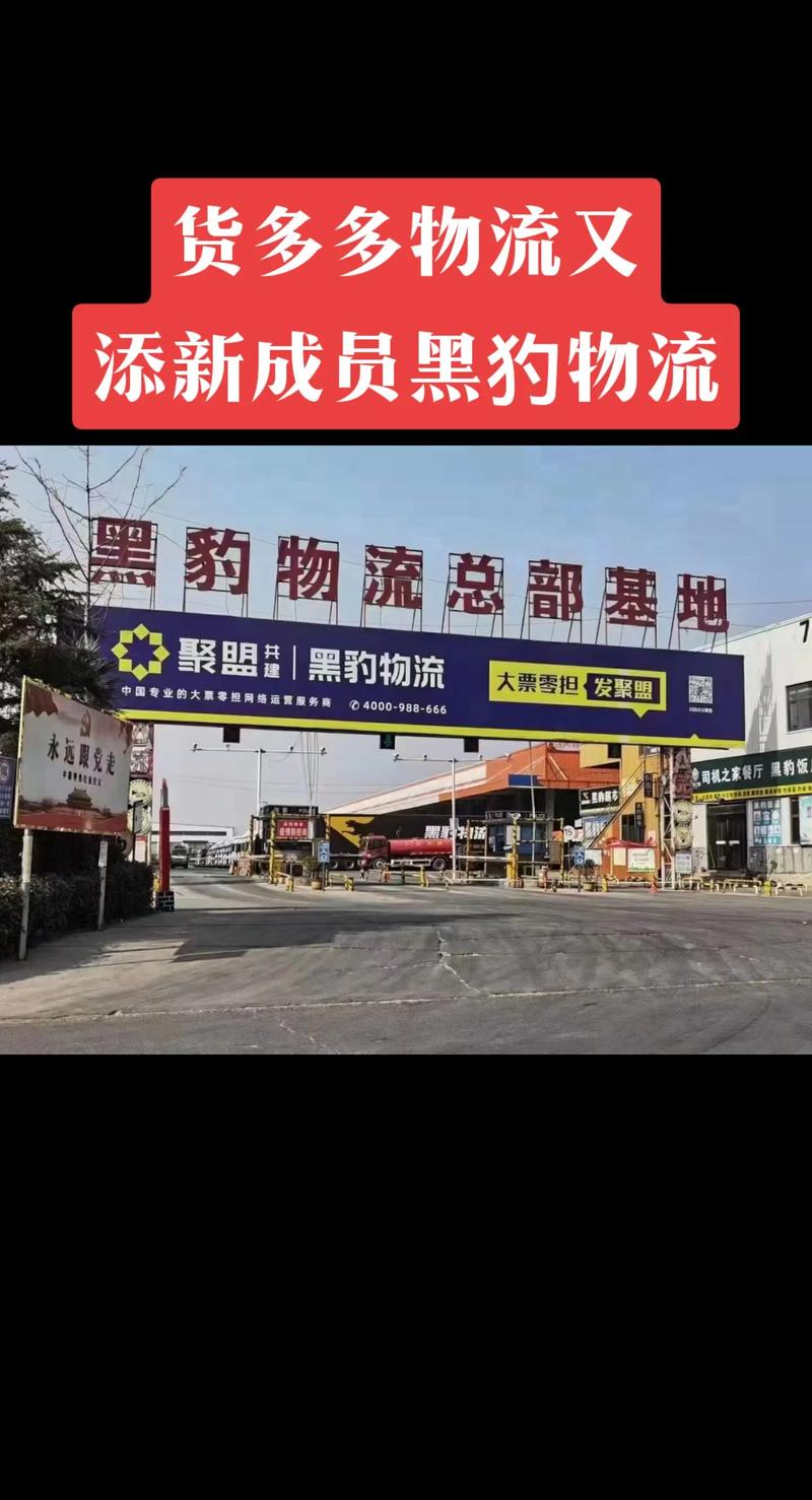 黑豹物流属于什么档次图标