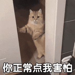 躲好的表情包图标