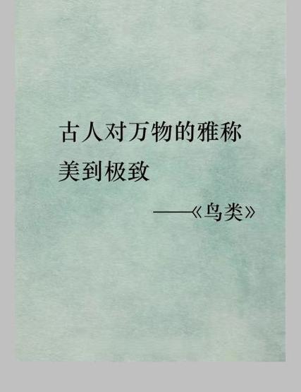 聚焦的雅称图标