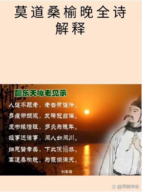 老当益壮1图标