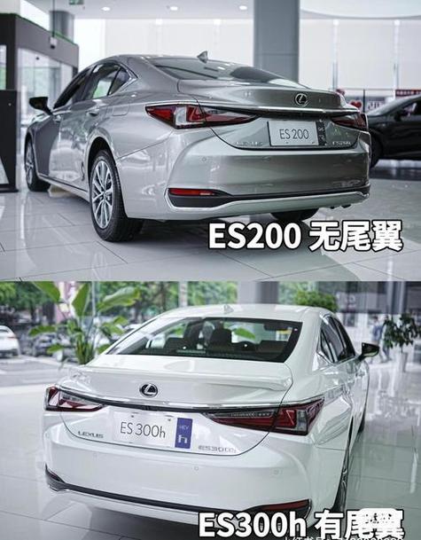 es版和正式版的区别图标