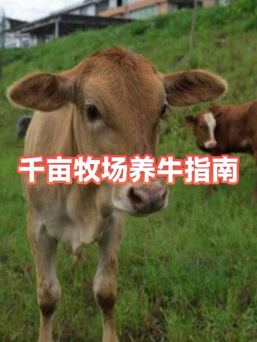 广东十大牧场图标