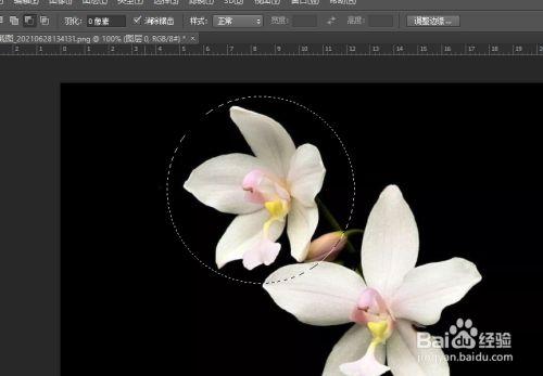 照片抠成圆形图标