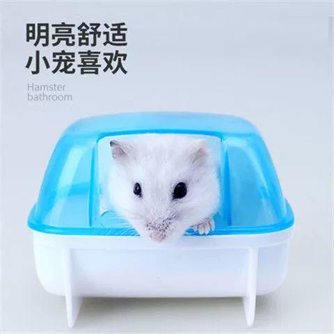 仓鼠浴沙截图