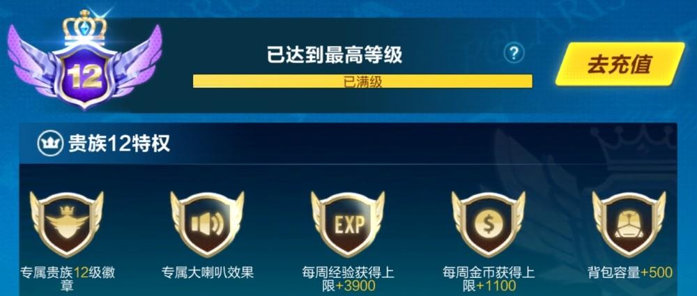 qq飞车手游贵族12截图