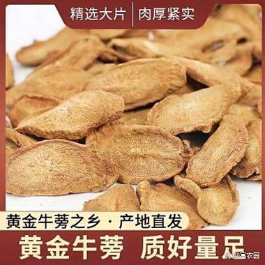 牛蒡茶的禁忌截图