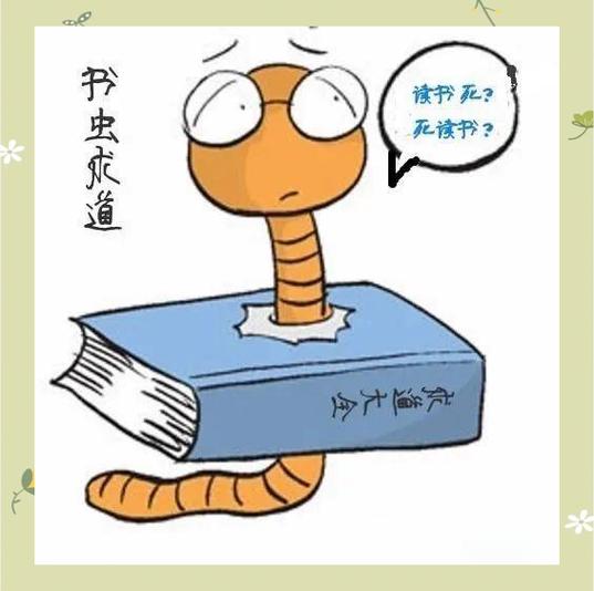 啃书网TXT免费下载图标