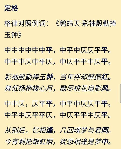 鹧鸪天平仄格律检测图标