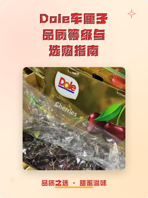dole什么档次图标