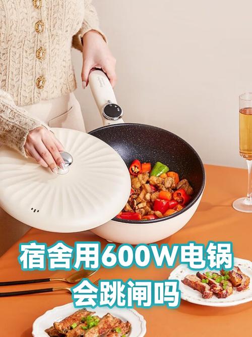 电锅一插电就跳闸图标