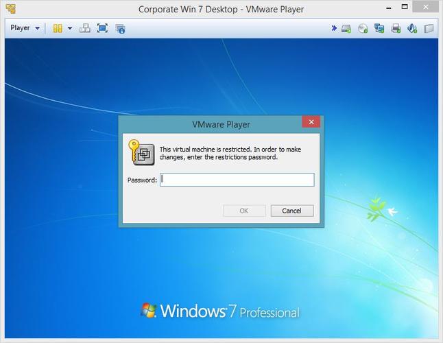 VMware player图标
