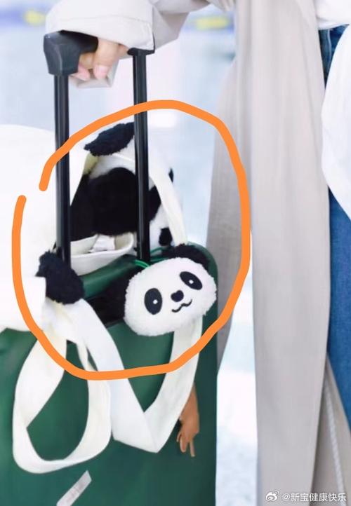 熊猫团团购图标