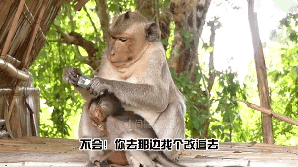 猴子美化包不封号版截图