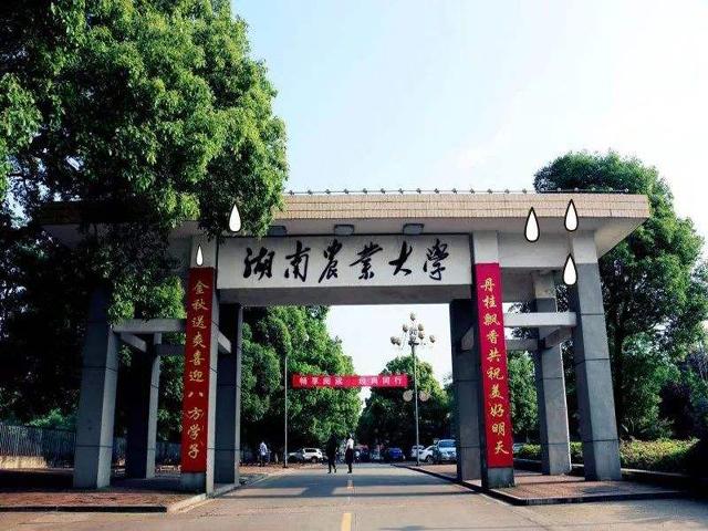 湖南农业大学研究生院图标