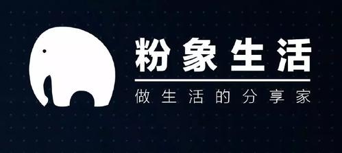 粉象生活和更省哪个好