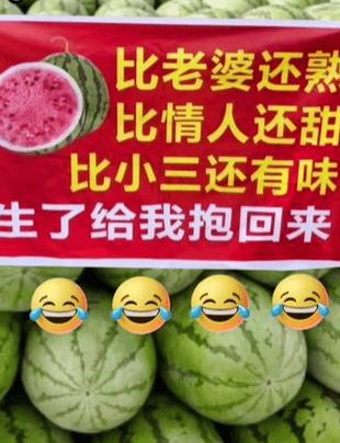 西瓜叫卖最火十句话截图