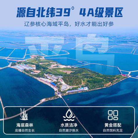 鑫玉龙单冻即食海参截图