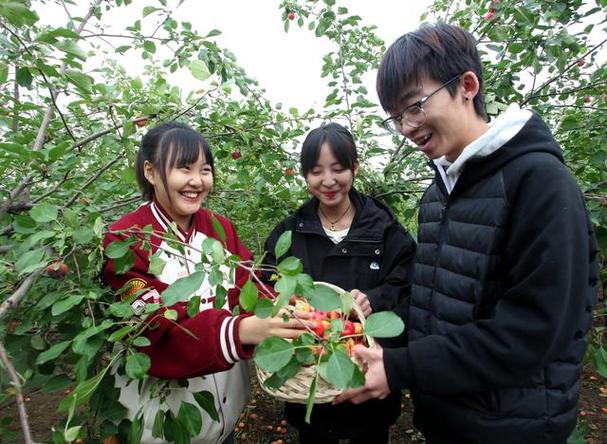 爱的果园图标