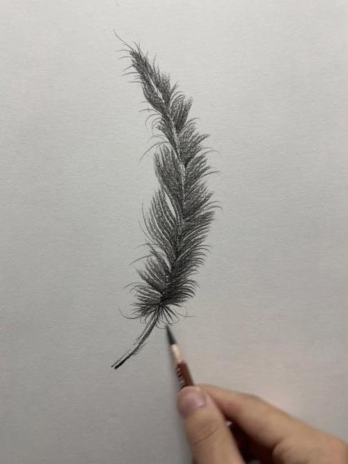 一二三年级画羽毛画图标
