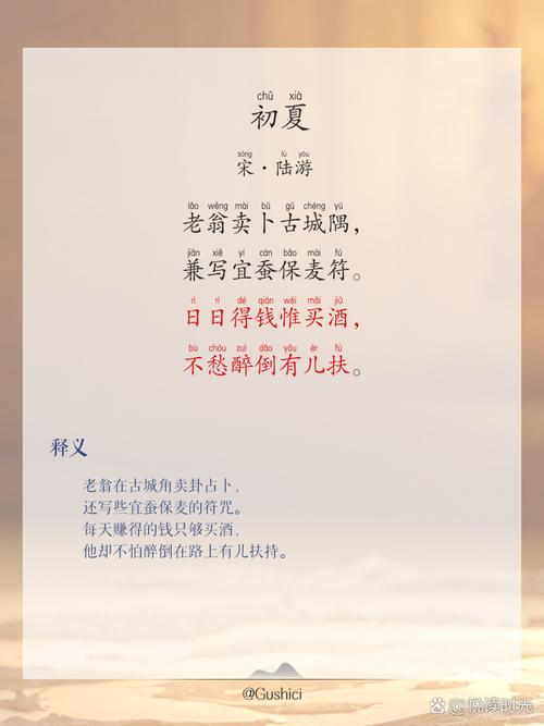 初夏薄擎免费阅读
