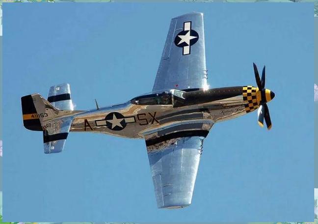 p51野马战斗机截图