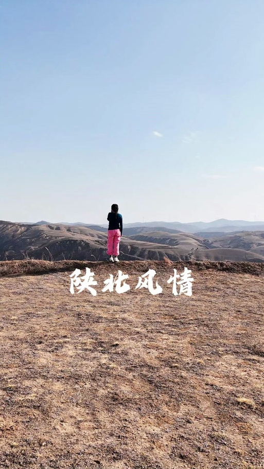 陕北风短视频截图