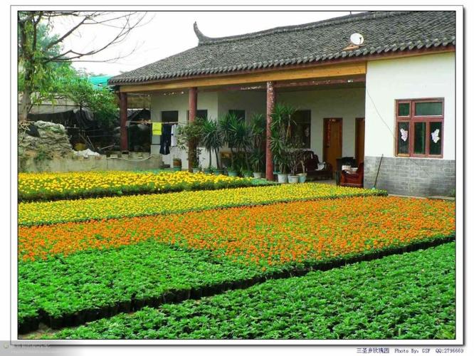三圣乡花香花居图标