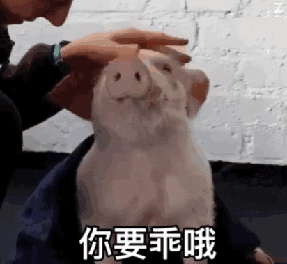 摸摸你的猪脑袋表情包截图