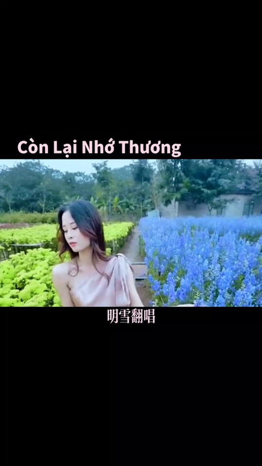 中文歌曲越南语翻唱图标