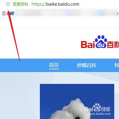 ipad如何收藏网页