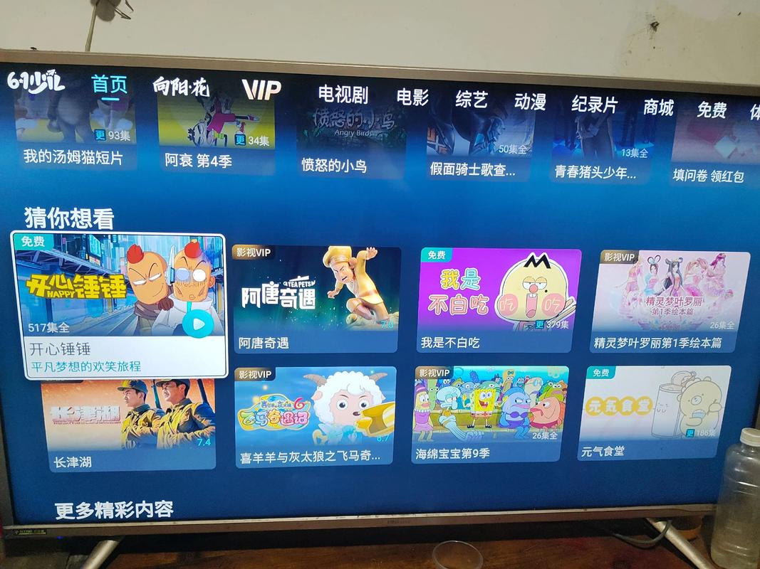 星钻会员可以登几个电视