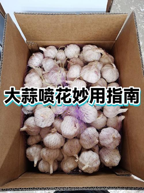 大蒜怎么处理截图