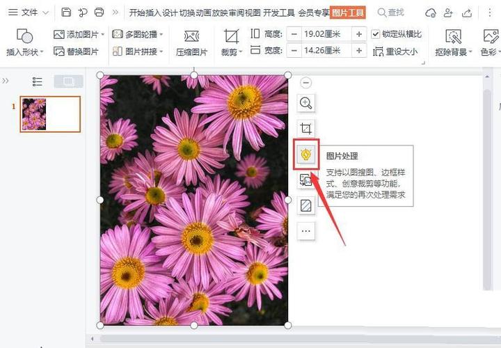 wps蒙层在哪里图标