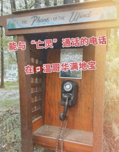 可以打印一年的通话记录吗图标