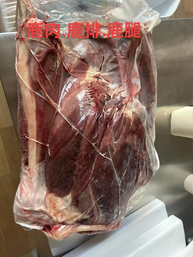 珊瑚鹿腿图标