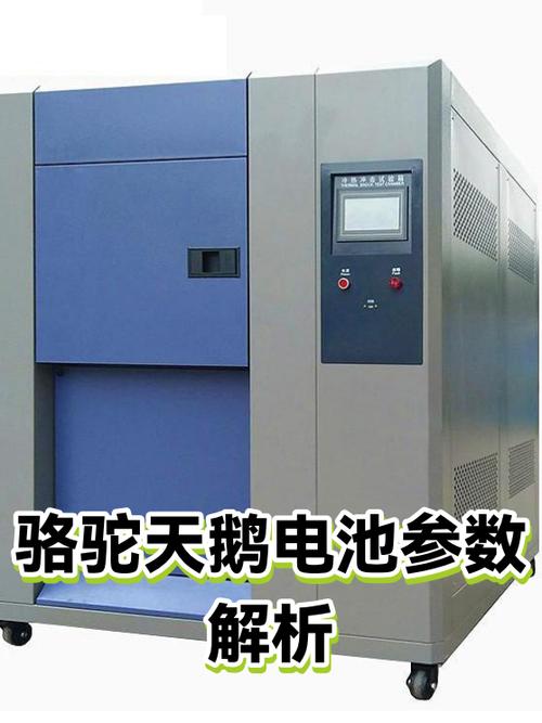 骆驼电瓶和骆驼天鹅电瓶哪个好图标
