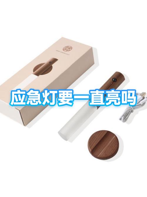 应急灯可以改成常亮吗图标