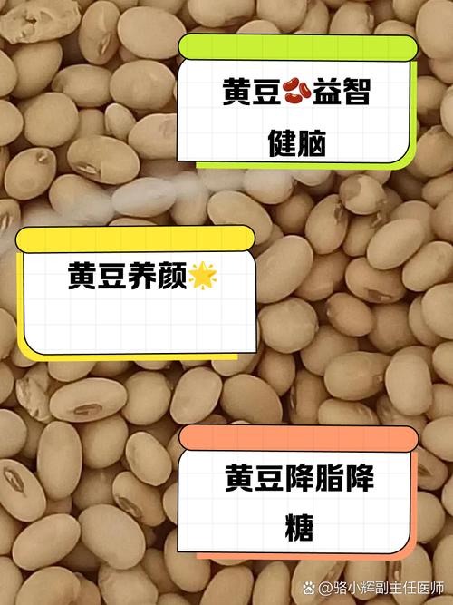 黄豆瓣的功能图标