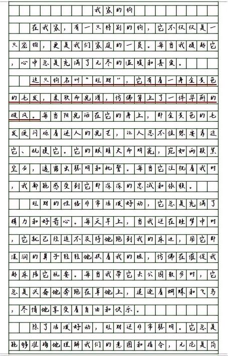 我的小狗作文300字图标
